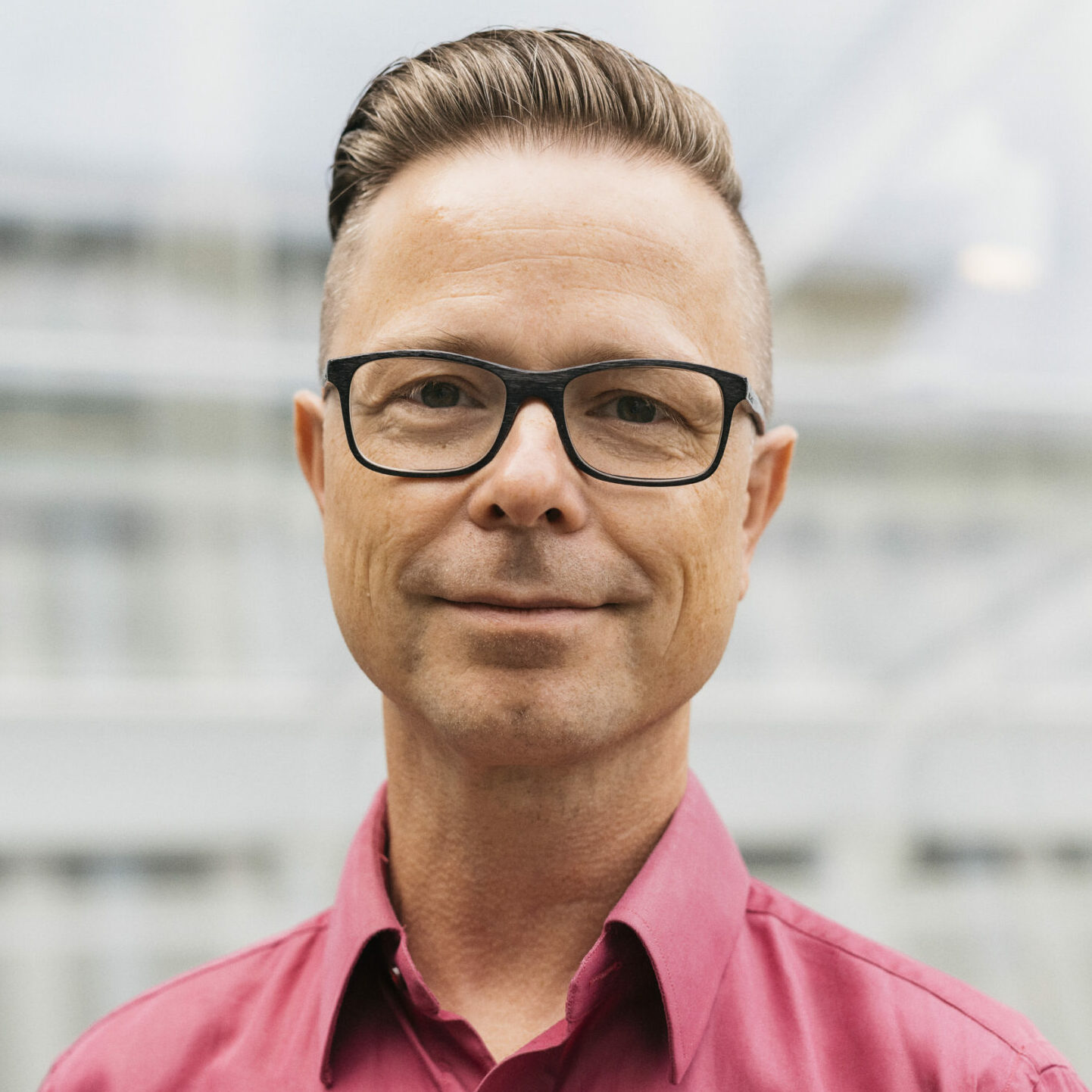 Falskt alarm om farorna med linfrön - Livsmedelsföretagen